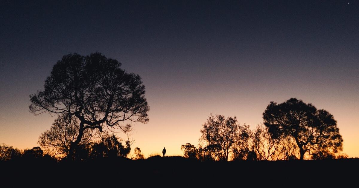 The Sony Alpha Imaging Collective Is Back From The Outback | Sony ...