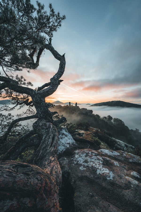 Alpha 7R V | Sony | Alpha Universe