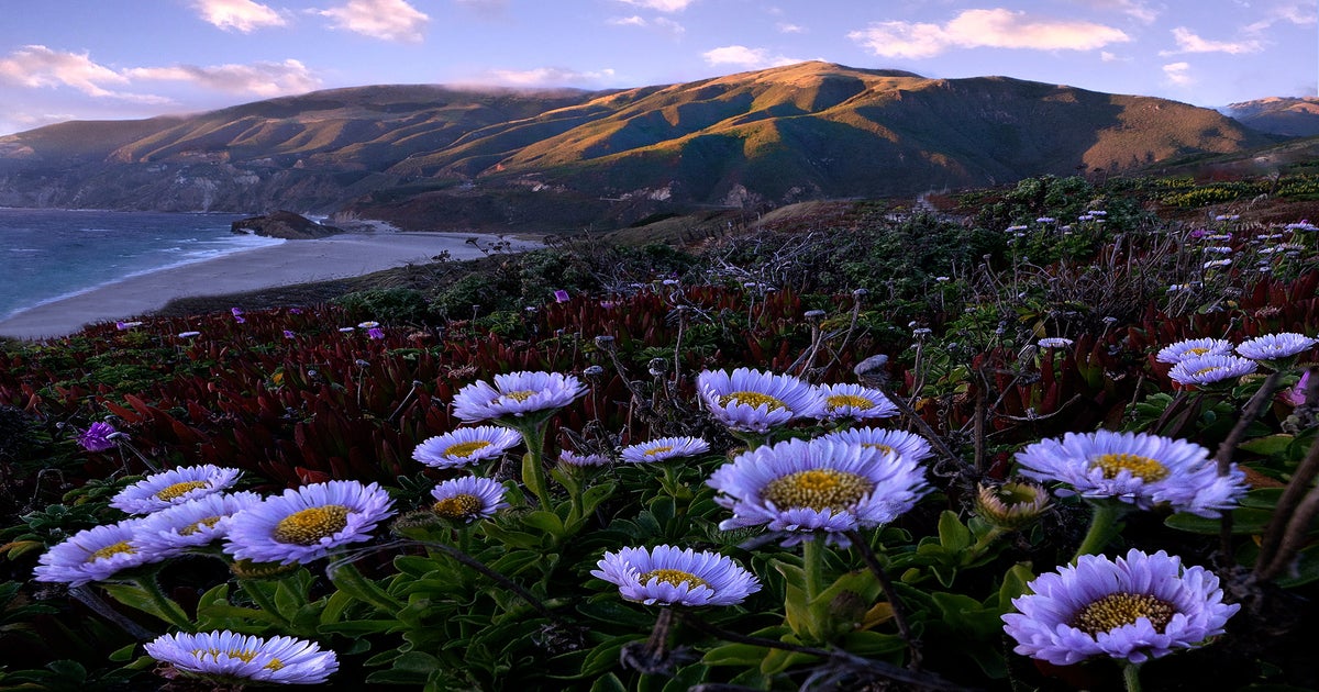 Get Ready For Earth Day With These Nature & Wildlife Photographers ...