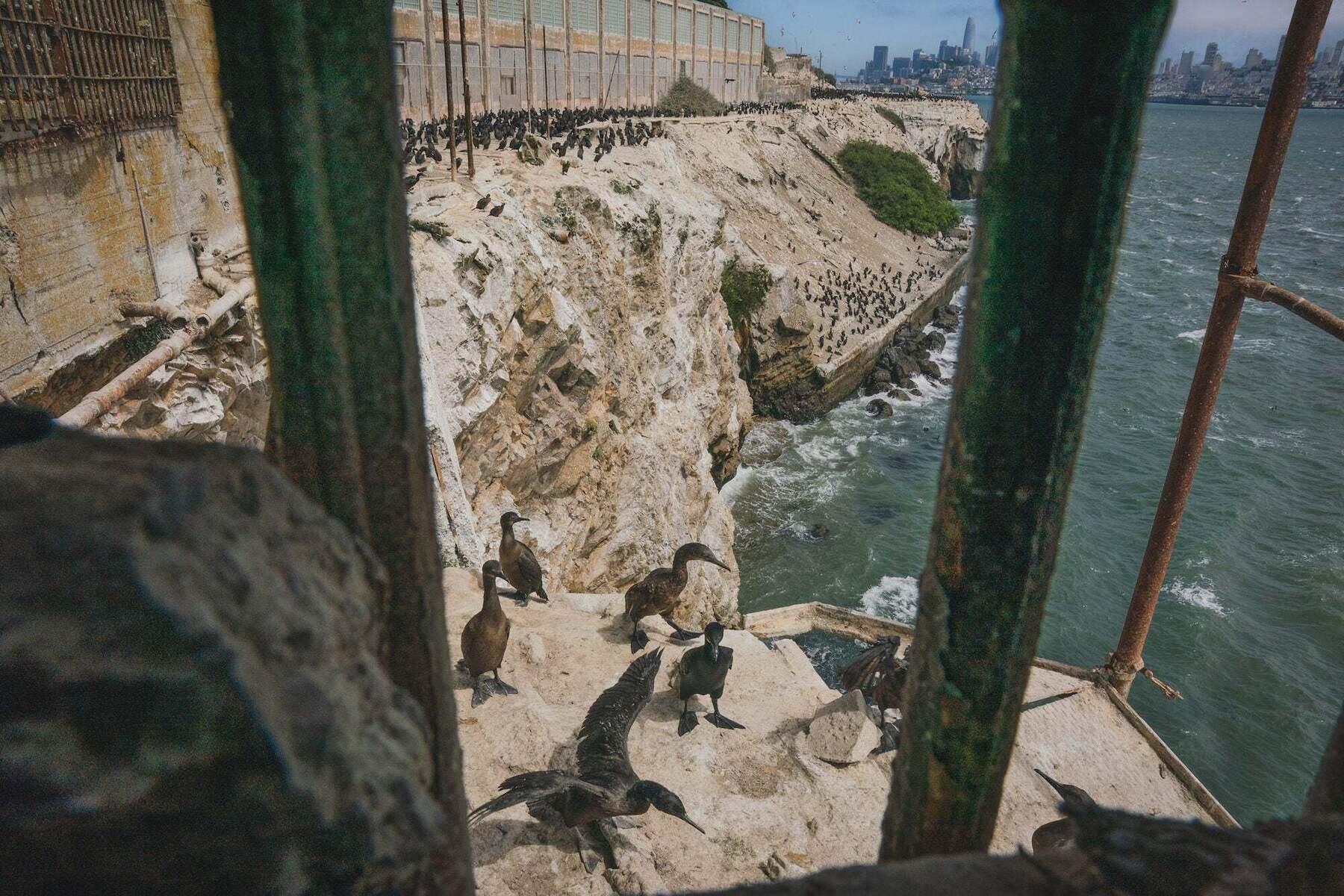 This Earth Day, Meet A Photographer Working To Protect The Planet ...