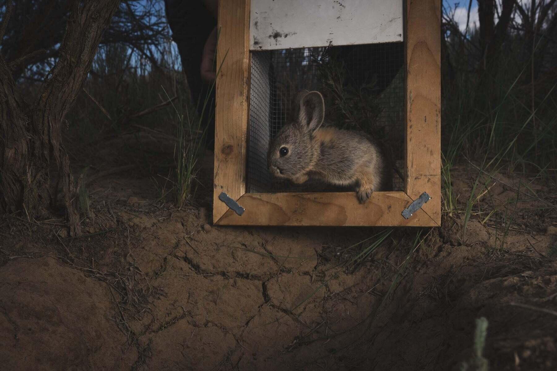 This Earth Day, Meet A Photographer Working To Protect The Planet ...
