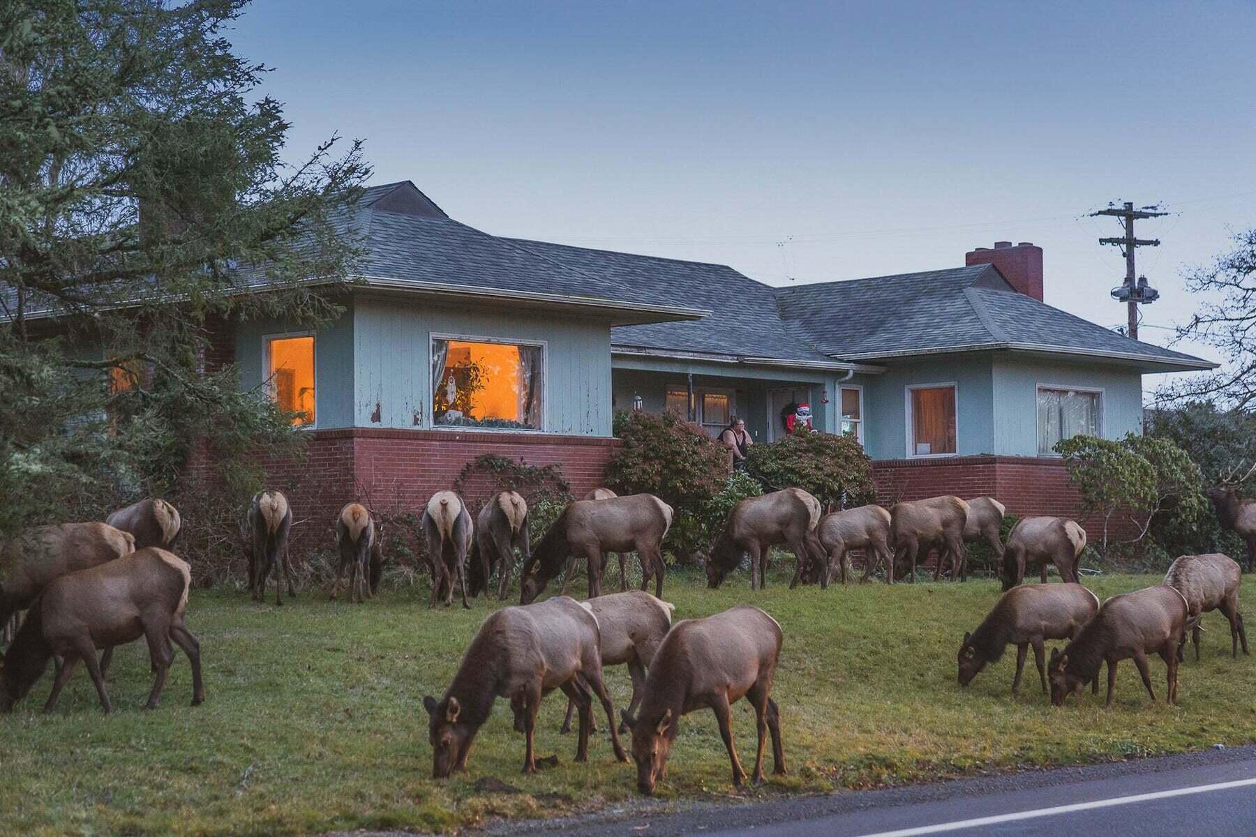 This Earth Day, Meet A Photographer Working To Protect The Planet ...