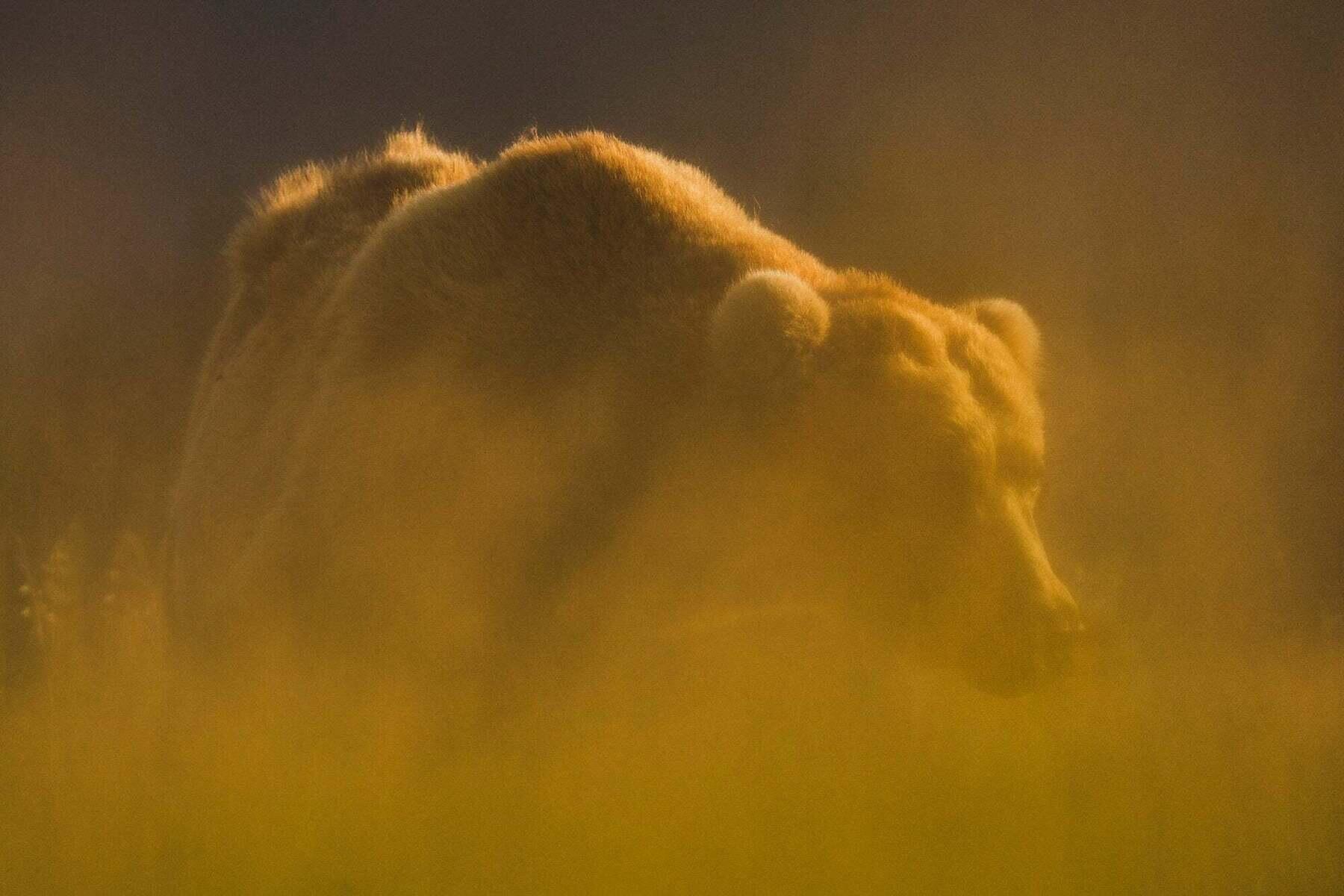 This Earth Day, Meet A Photographer Working To Protect The Planet ...