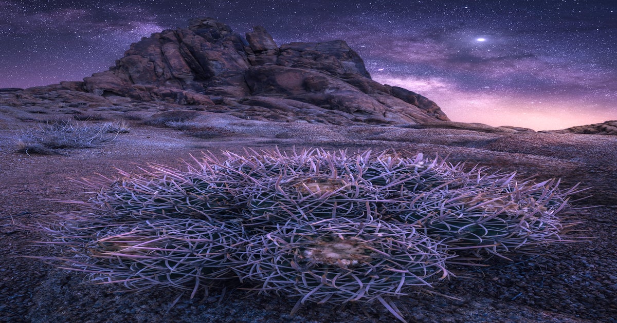 Arizona Nights: A Night Photography Masterclass With Jess Santos ...