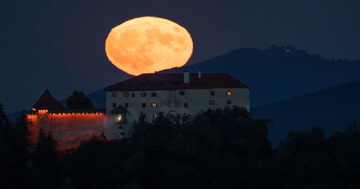 See How Photographers Around The World Captured The July 13 "Buck ...