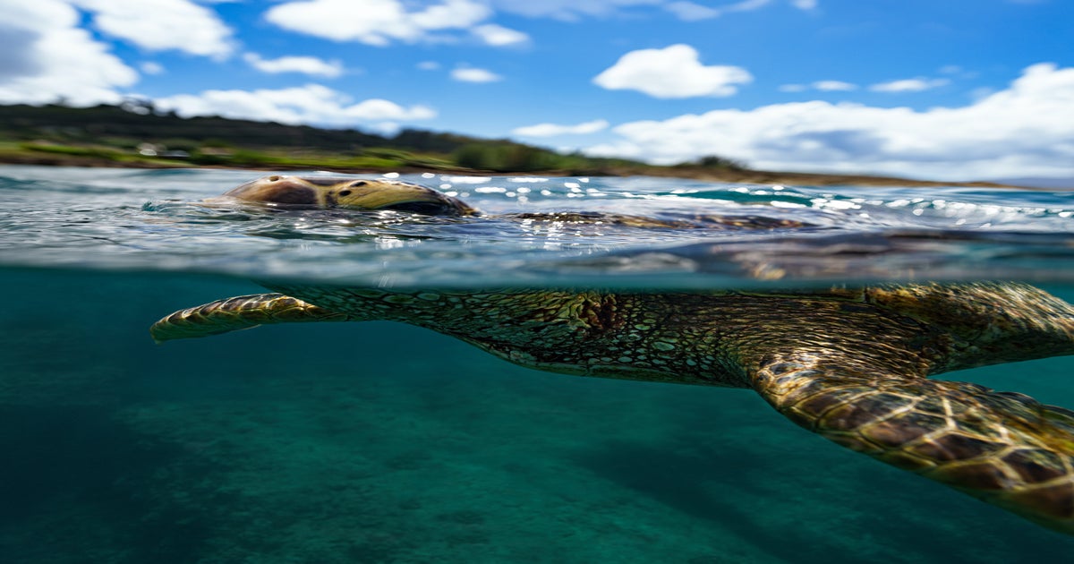 Take An Instagram Dive Into The Surreal World Of Underwater Imagery ...