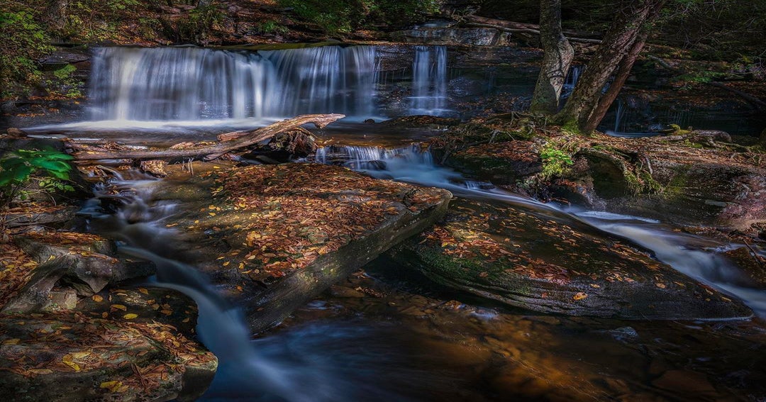 Outdoors Or Inside, See How These Photographers Capture Nature This ...