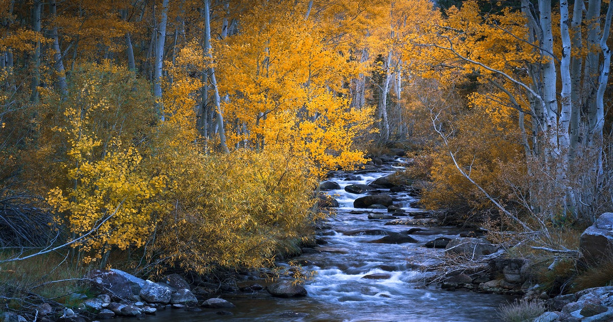 See How These Photographers Capture Vivid Fall Colors | Sony | Alpha ...