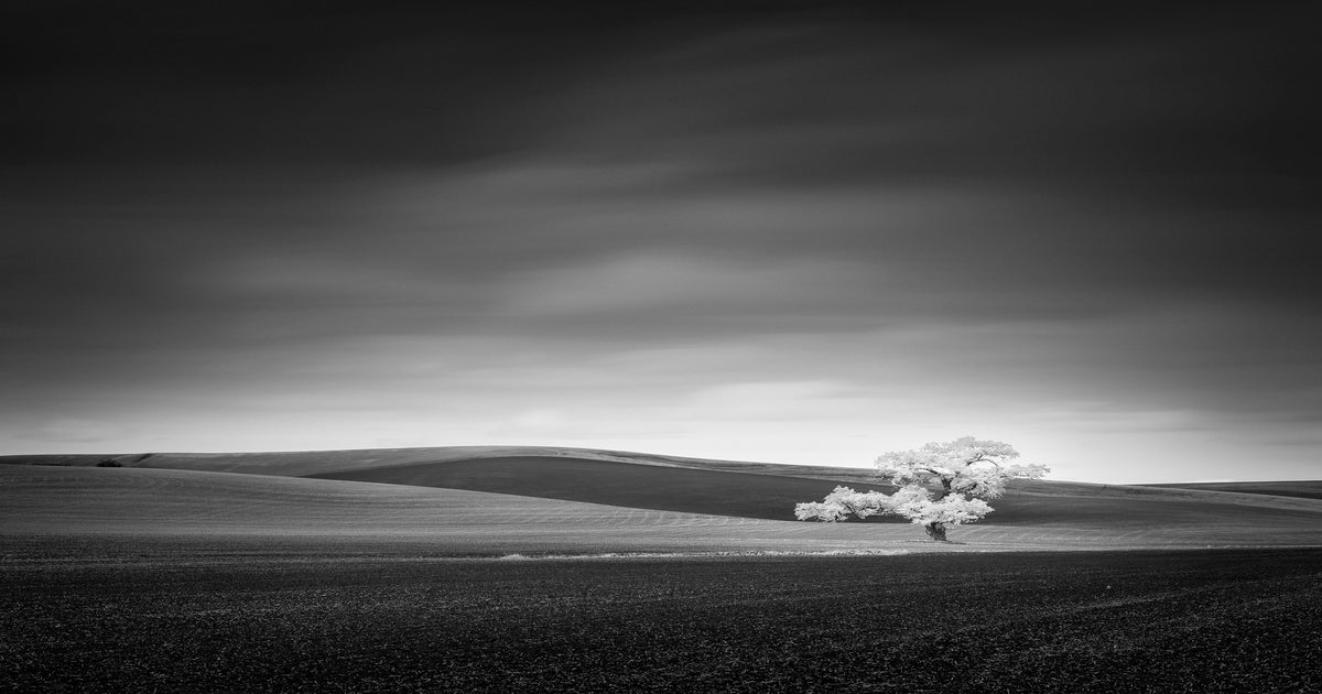 3-Day Palouse Photo Workshop With Sony Artisan Thibault Roland | Sony ...