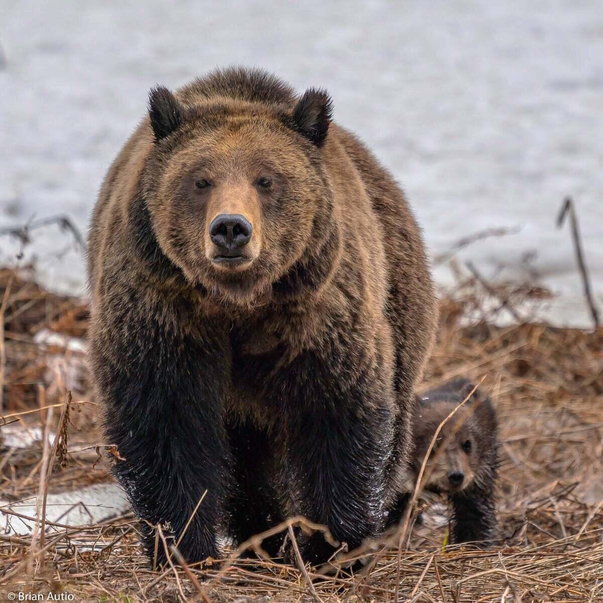 Alpha Profile Spotlight: See How This Creator Lets The World Show Him ...