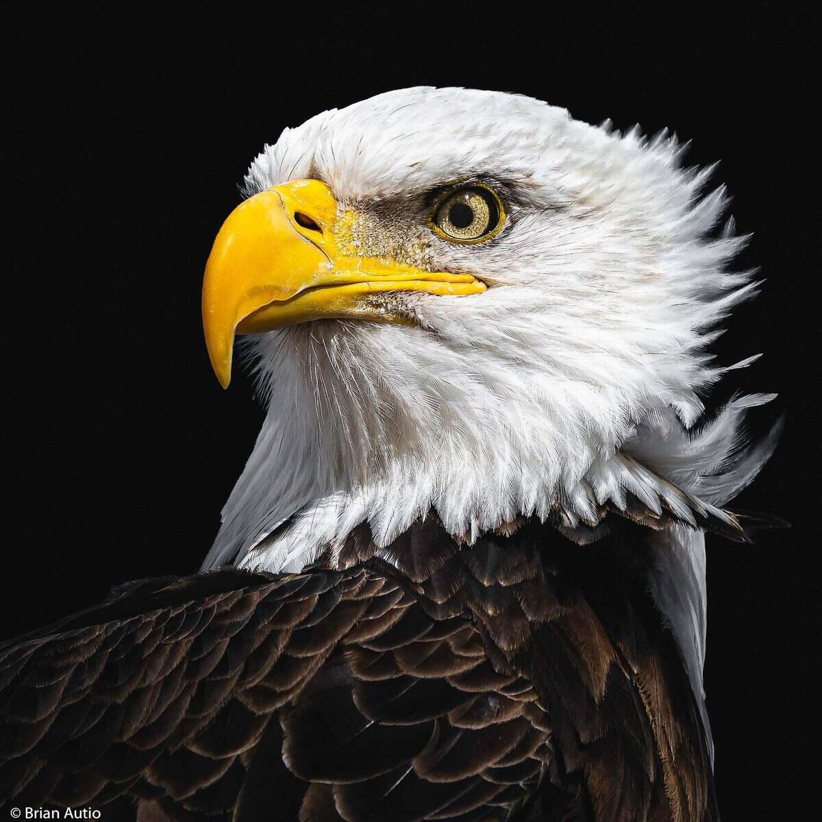 Alpha Profile Spotlight: See How This Creator Lets The World Show Him ...