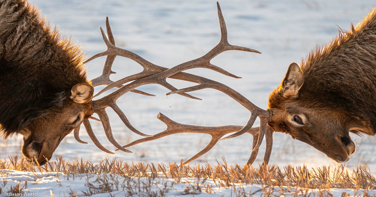 Alpha Profile Spotlight: See How This Creator Lets The World Show Him ...