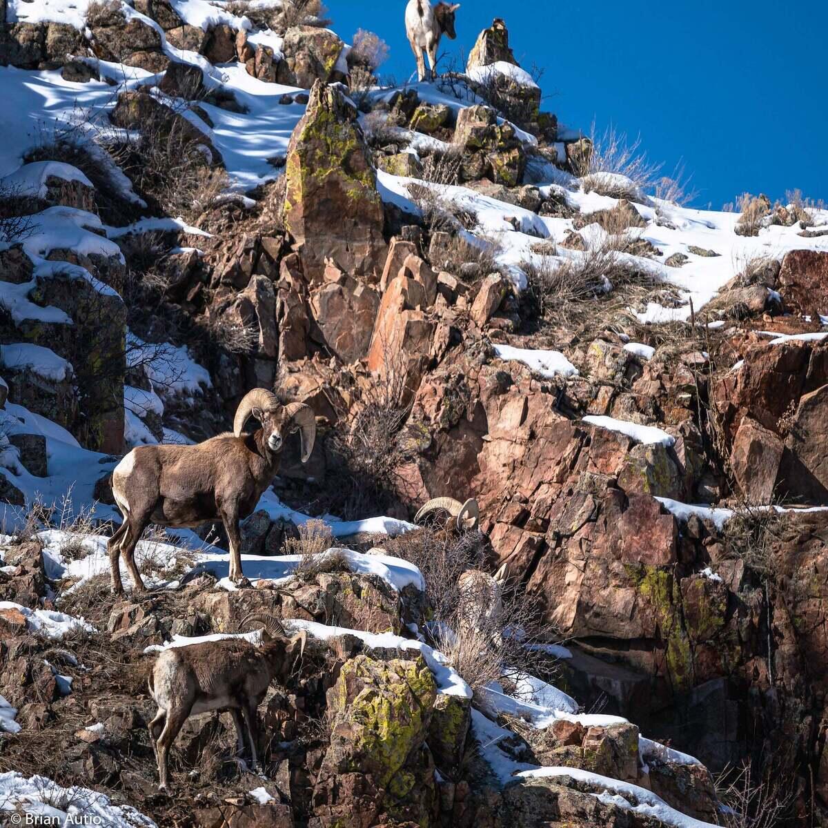 Alpha Profile Spotlight: See How This Creator Lets The World Show Him ...