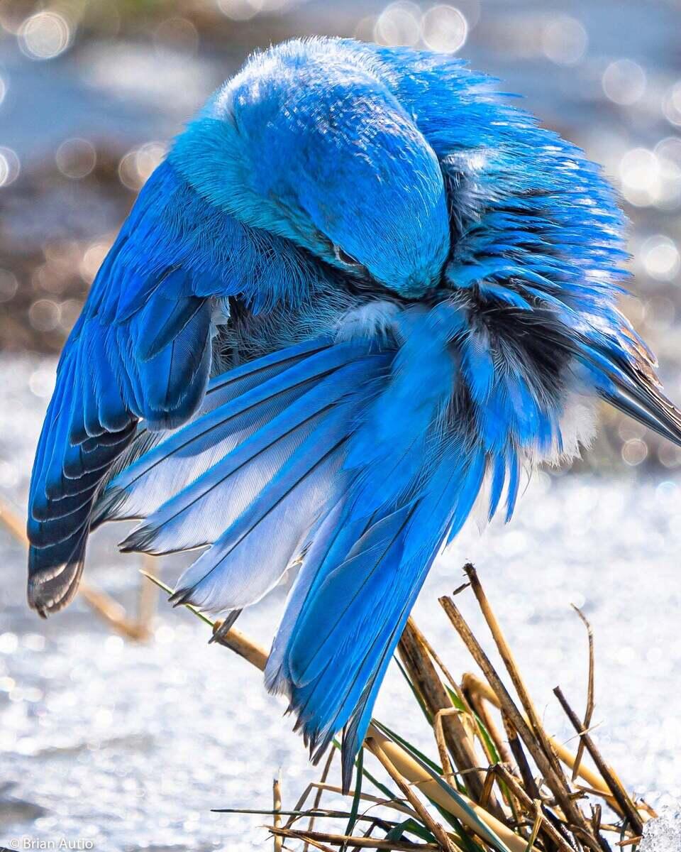 Alpha Profile Spotlight: See How This Creator Lets The World Show Him ...