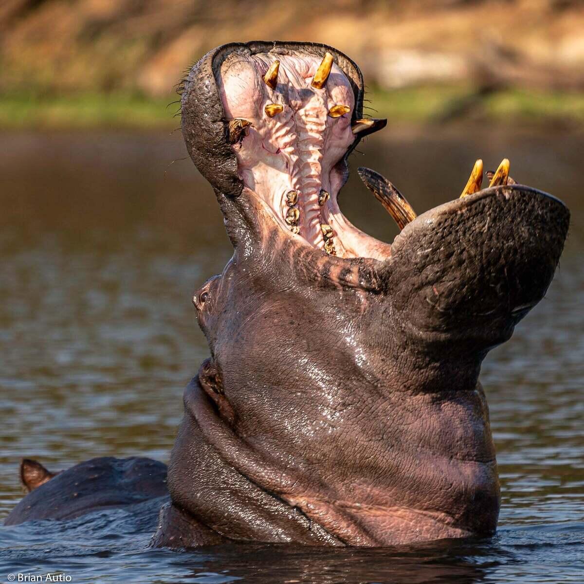 Alpha Profile Spotlight: See How This Creator Lets The World Show Him ...