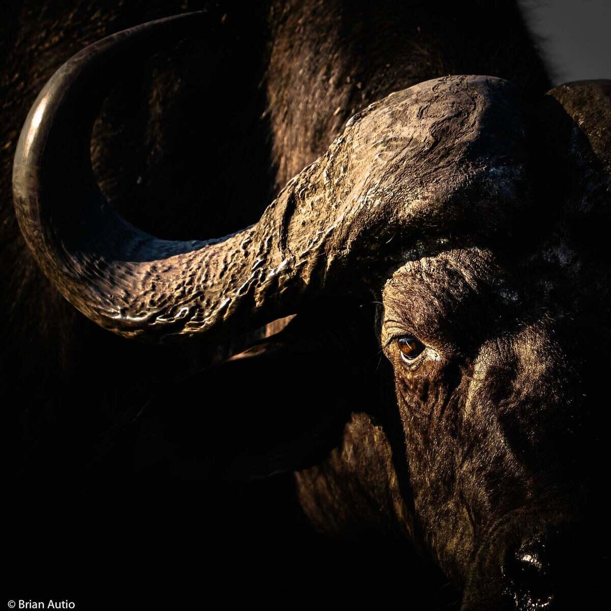 Alpha Profile Spotlight: See How This Creator Lets The World Show Him ...