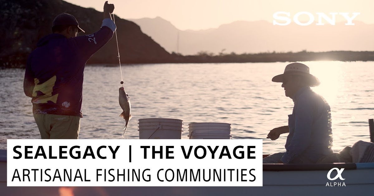 SeaLegacy | The Voyage – Using Powerful Storytelling To Protect ...